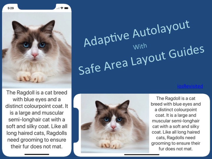 Adaptive Autolayout Programmatically For Iphone X Using Safearealayoutguide Swift 4 Swift 4