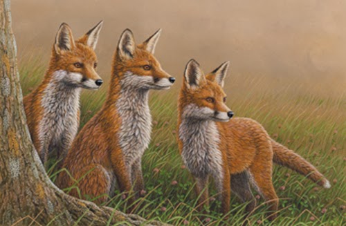 A Day In the Life of a Wildlife Artist: How I Built an Artificial Fox Earth