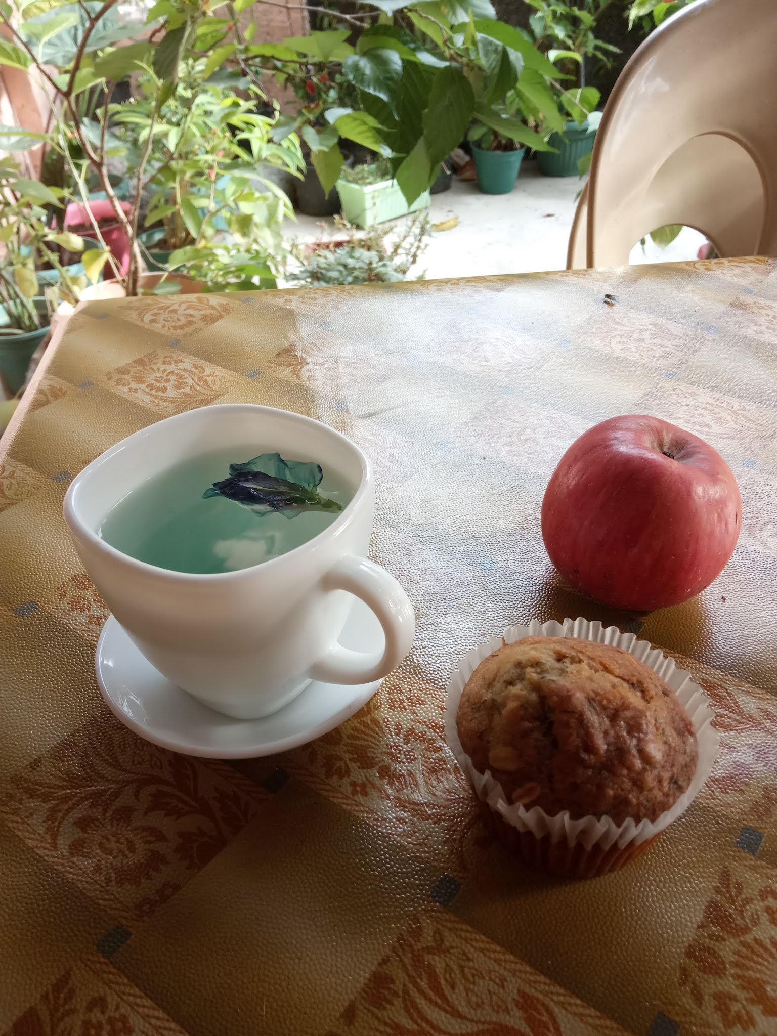 10 Health Benefits of Blue Ternate Tea