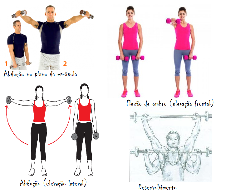 QUAIS OS MELHORES EXERCÍCIOS PARA OMBROS?