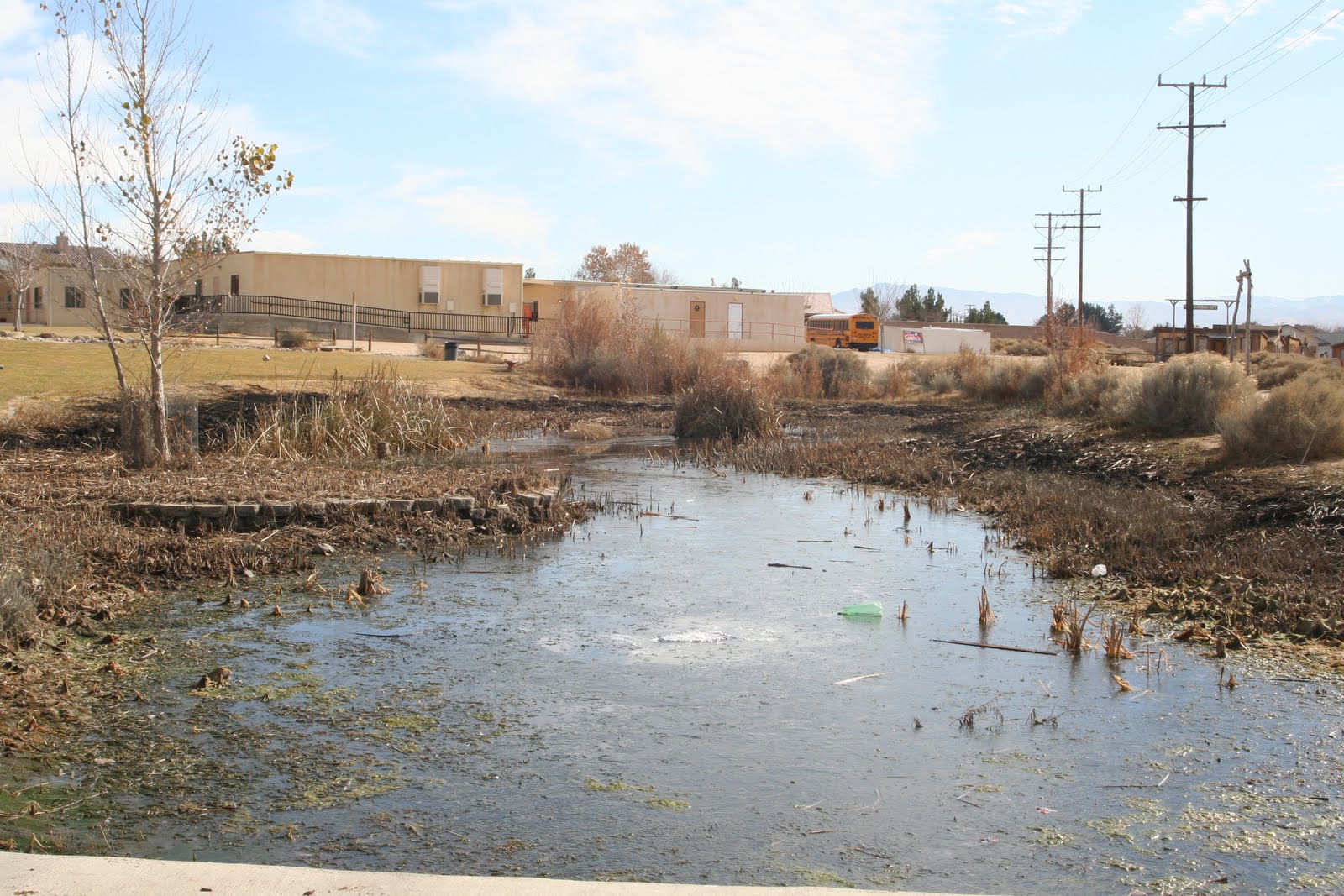 Working with Mohave tui chub