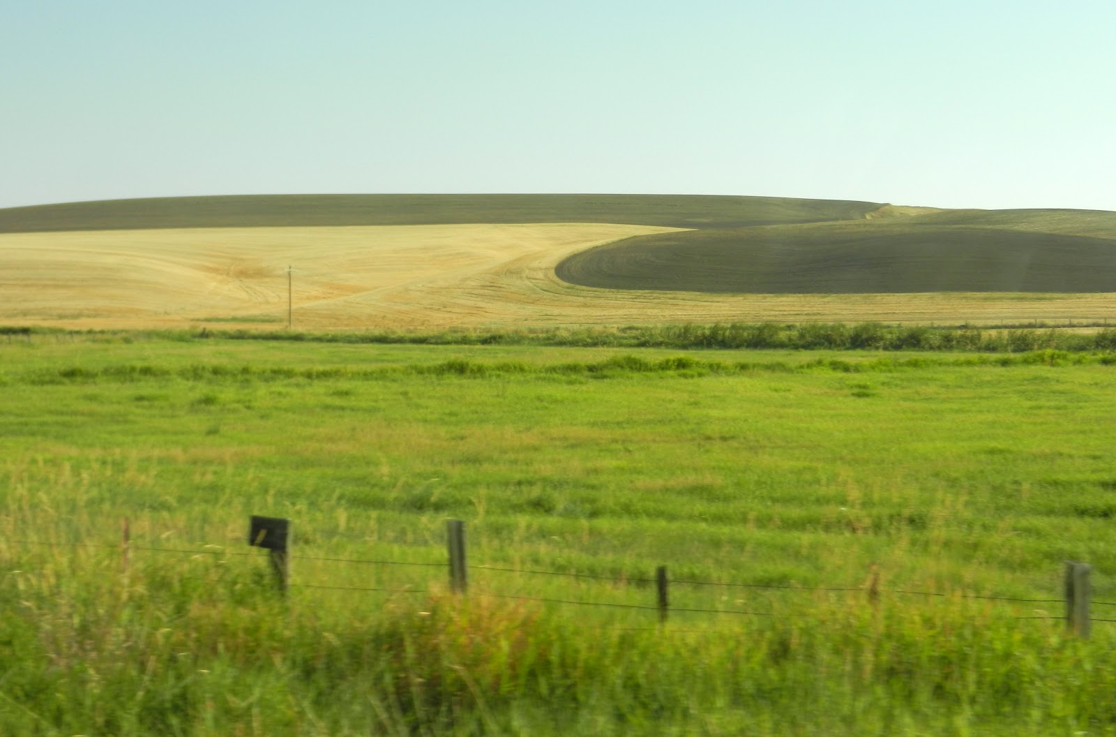 Cat Patches: Almota, Washington