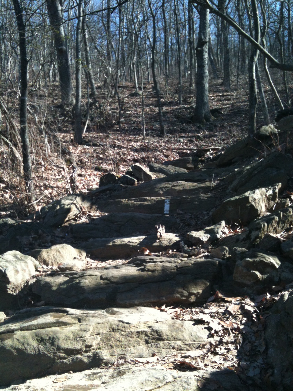 27 in 2012: Organizing to the nines: Blood Mountain, Slaughter Creek Trail