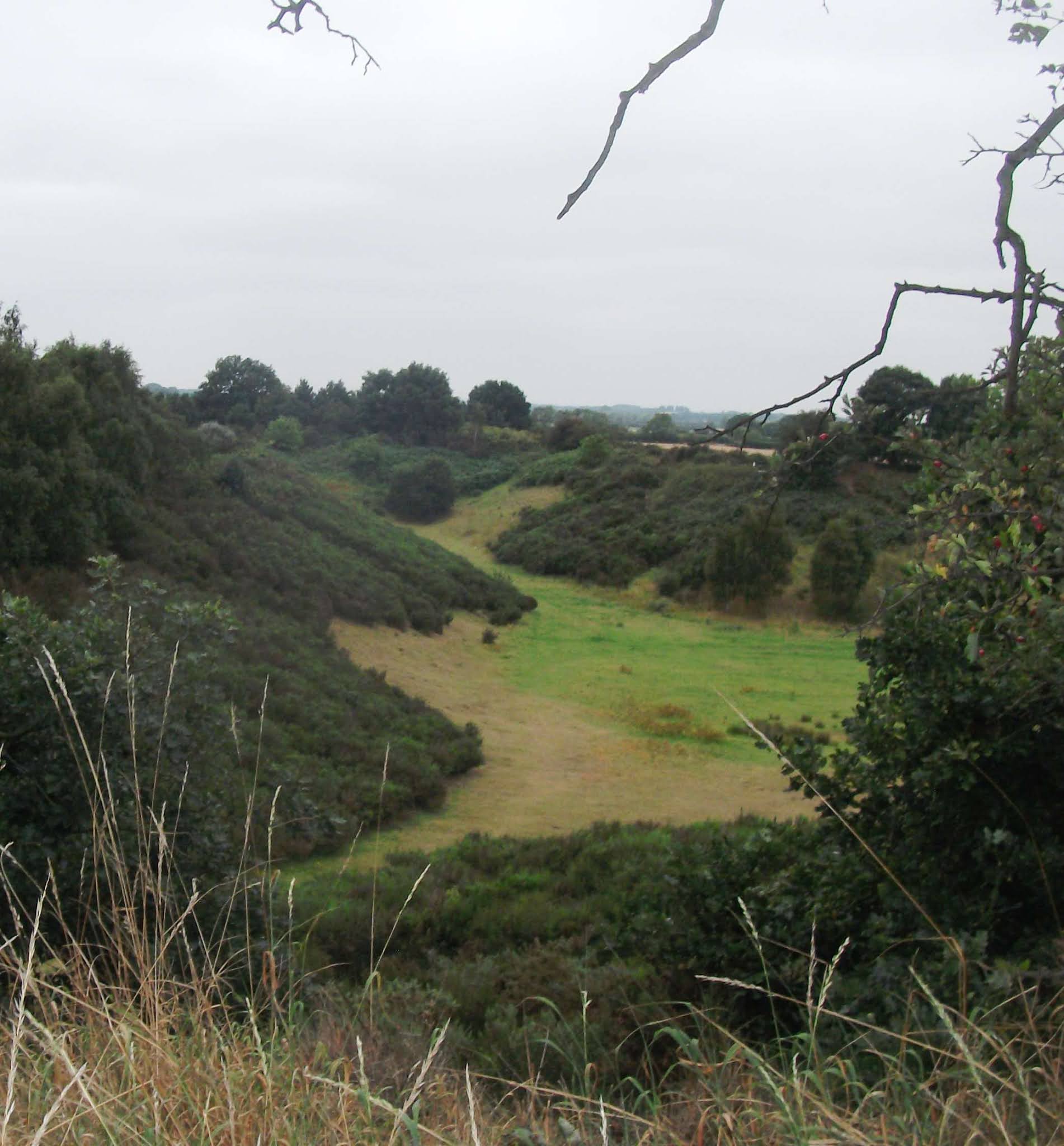 Walking The Peak: Austerfield, Finningley, Blaxton, and Auckley...and ...