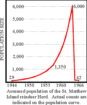 Virtual Diary: Growth Curves - J Curve and S Curve