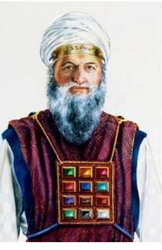 DOCTRINA Y ESTUDIOS BIBLICOS: EL EFOD Y SU SIGNIFICADO