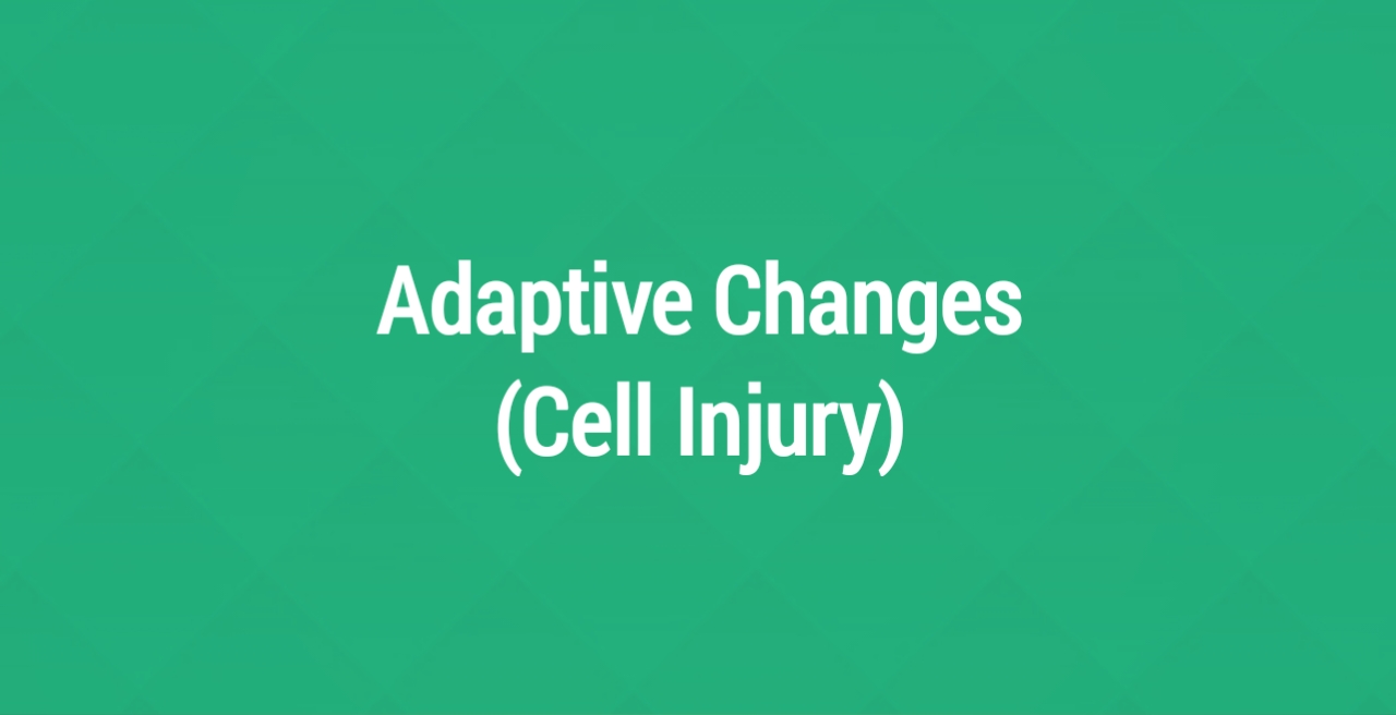 Adaptive Disorder/Changes in Cell | Atrophy, Hypertrophy, Hyperplasia ...
