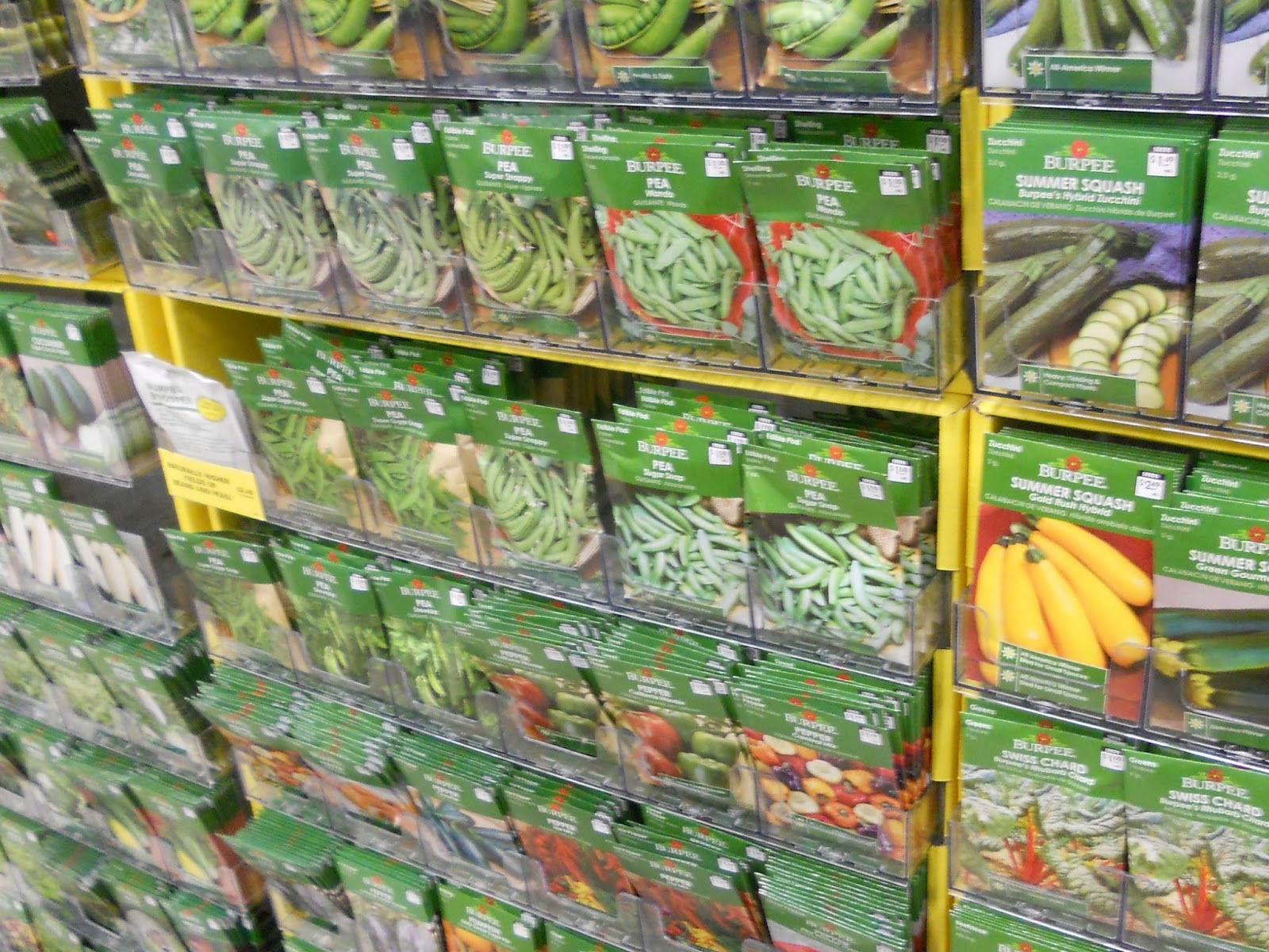 How to Start a Garden