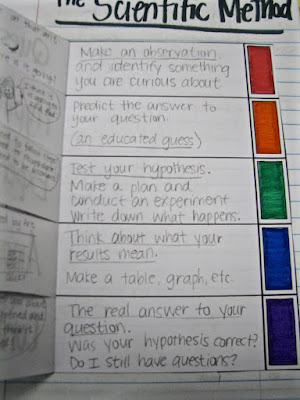 Teaching the Kid: The Scientific Method Foldable