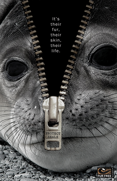 Design Against Fur - Competition