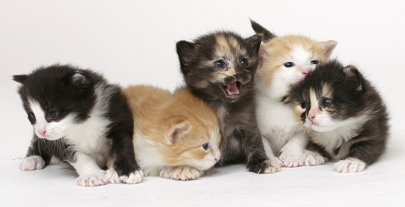 Stumpy Wanders: Two Very Good Reads