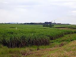 hiasan langsir dan set inggeris: NEGERI PERLIS