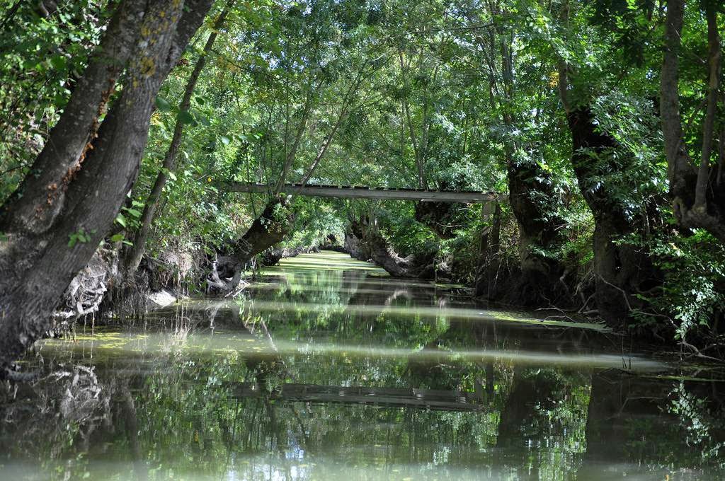 Marais Poitevin: France’s Green Venice ~ Kuriositas