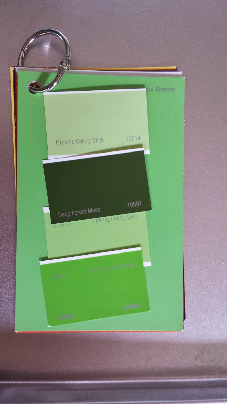 Munchkin and Bean: Colour Matching Paint Chips