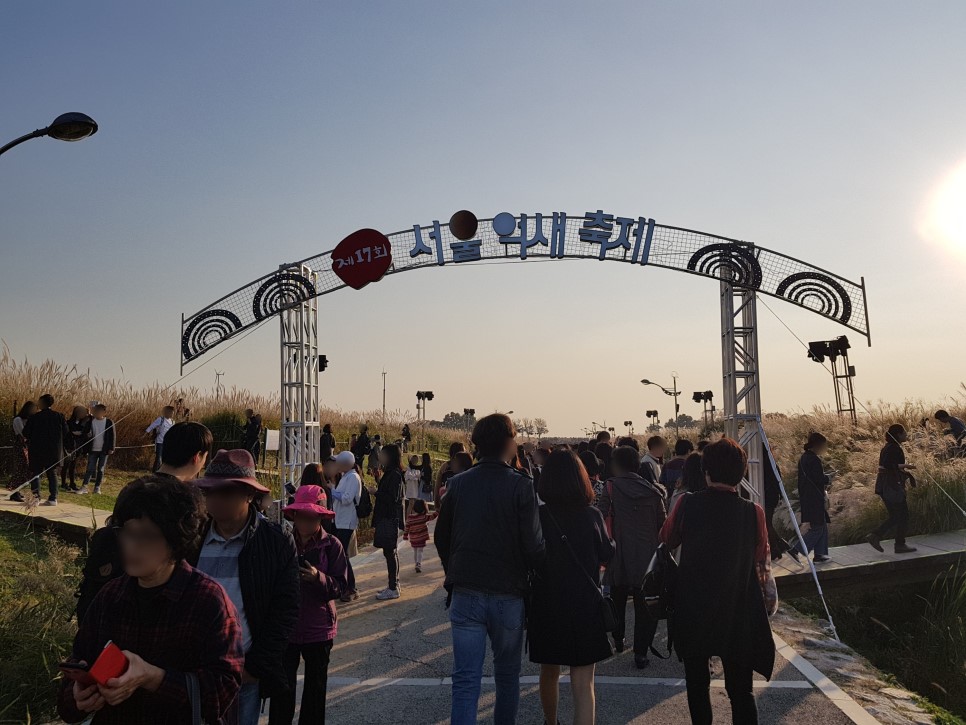 AREX: Must-Visit Park in Autumn - Seoul Haneul Park