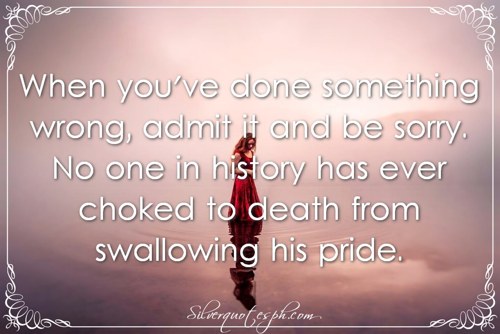 When You've Done Something Wrong - SILVER QUOTES