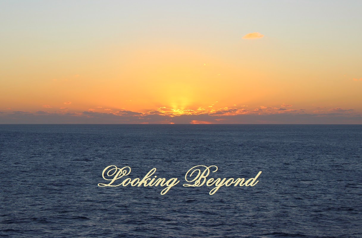 Jennifer's Blog: Looking Beyond