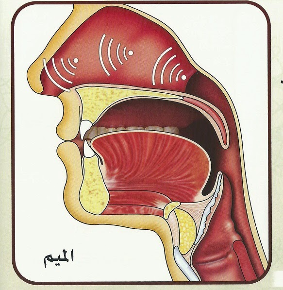 TajweedMama: TL1 - Lesson 21: Letter Exit No. 4 --> LIPS (Ash Shafatan)