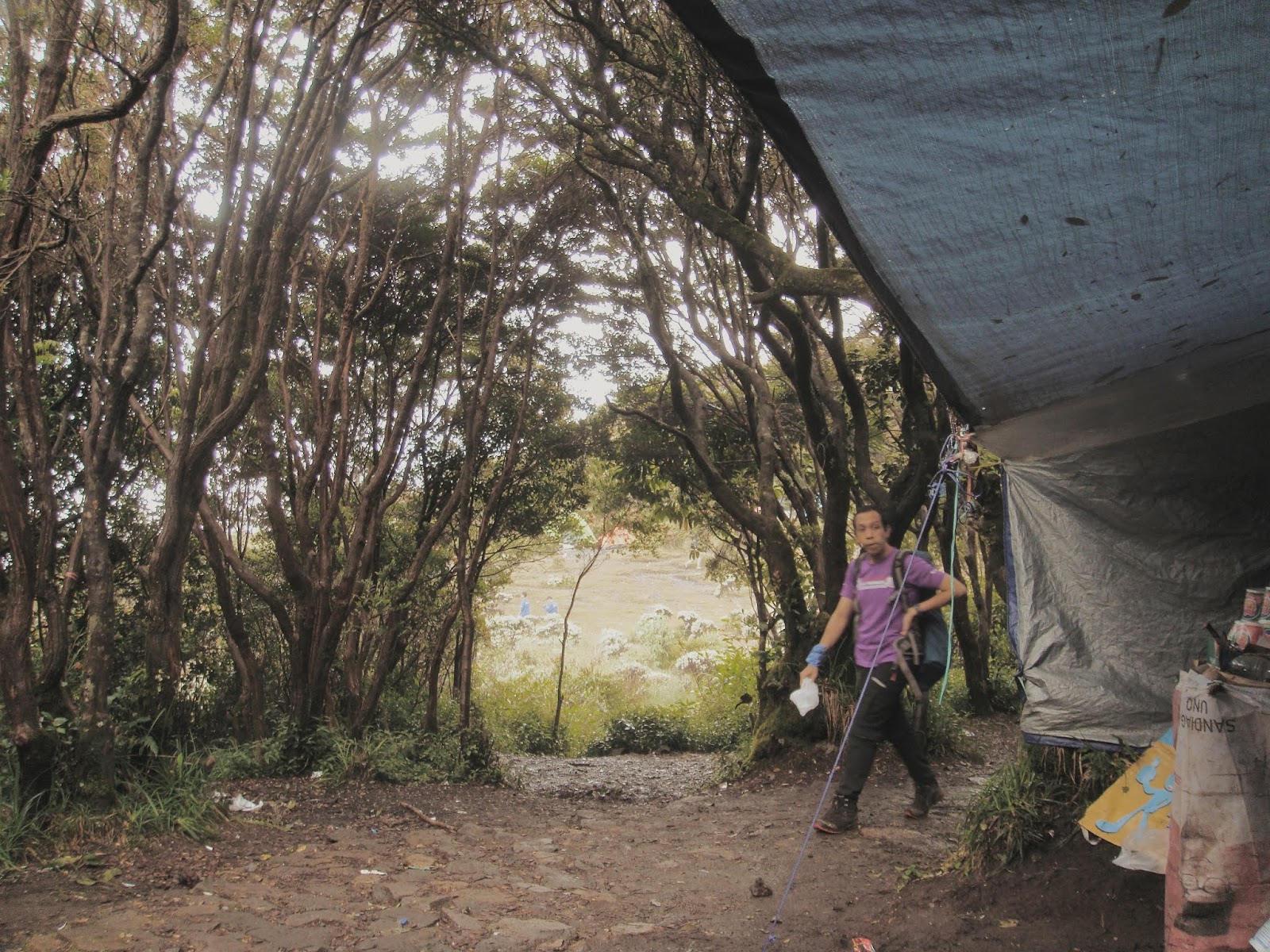 SummitAttack Gunung Gede