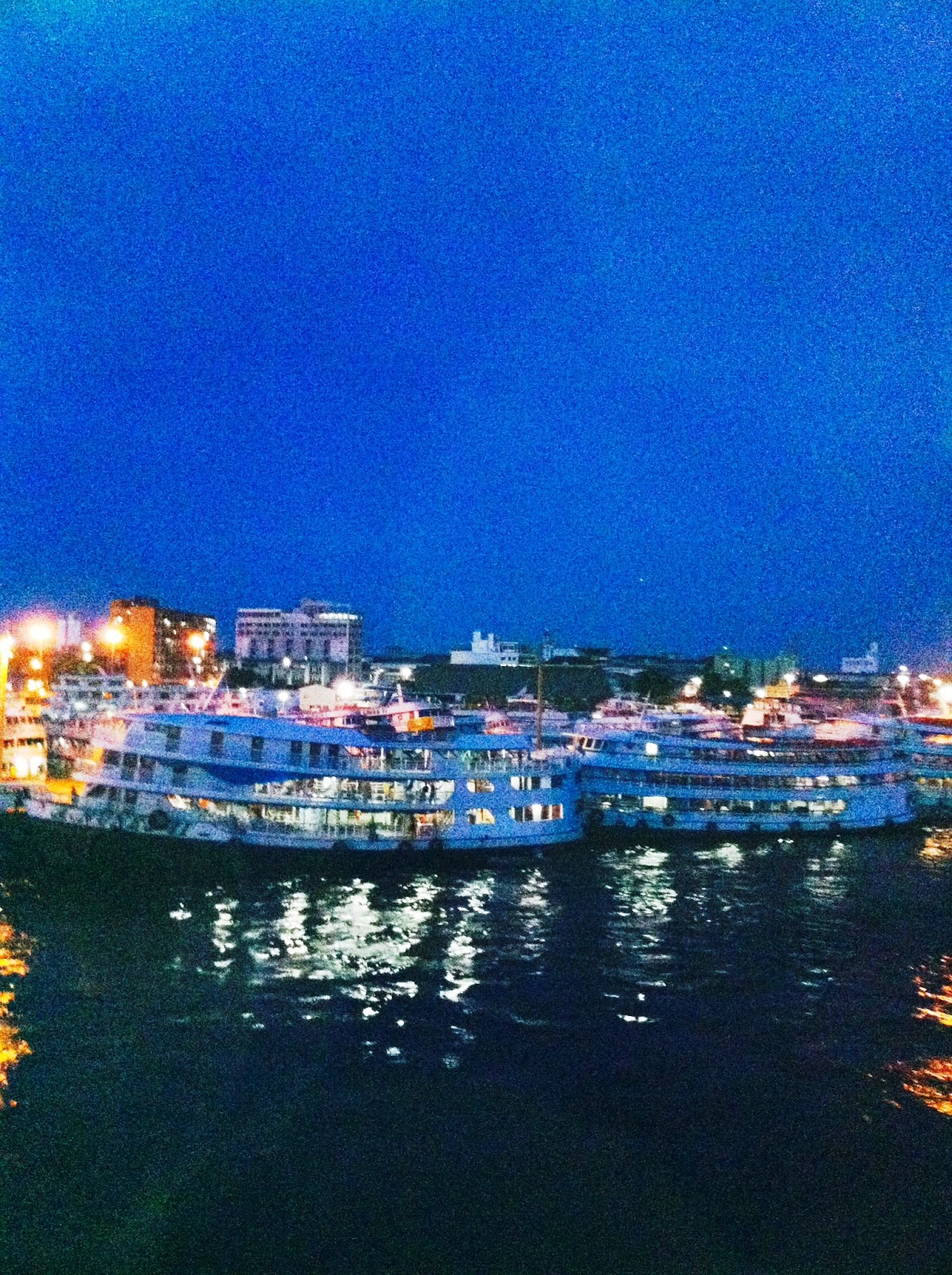 O cão que fuma...: Imagens do Rio Negro