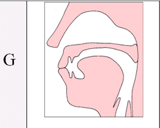 Group 7-5th Course-American Literature- Class 2012
