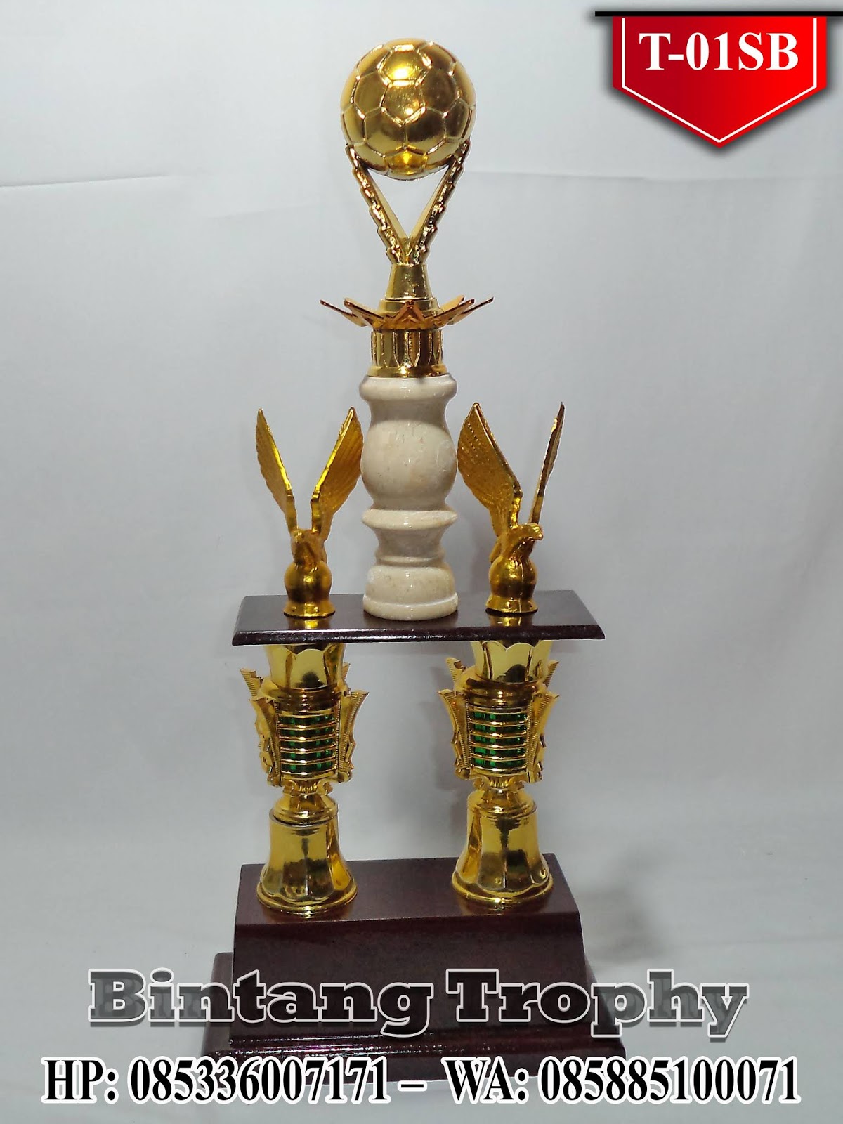 Piala Lomba Catur, Contoh Piala Marmer, Toko Piala Terdekat