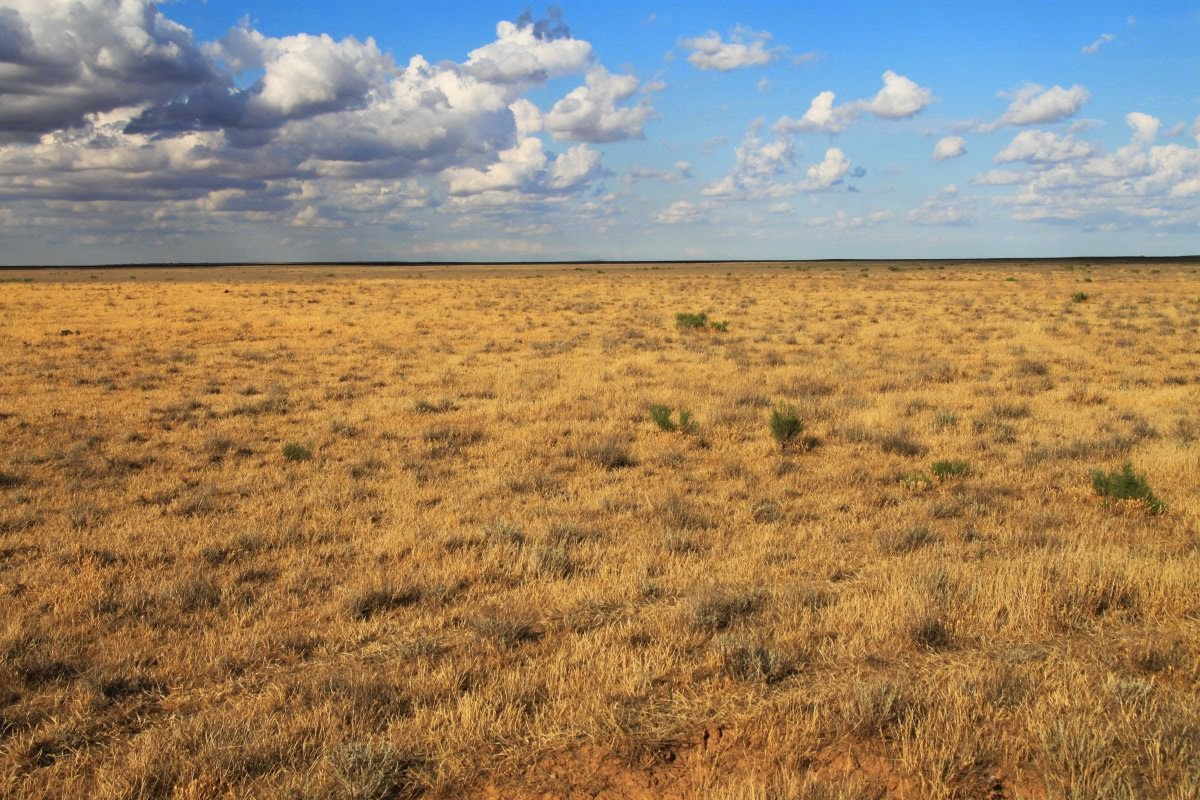 Nómada - capítulo 3: Fe ~ KindleGarten