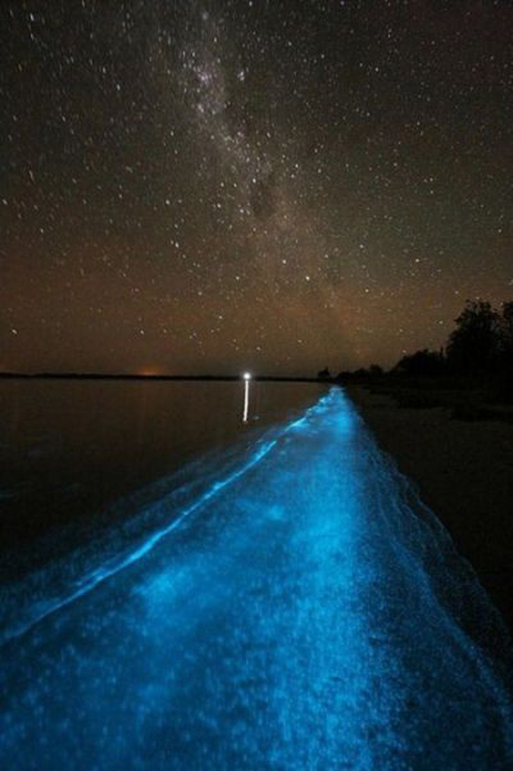 KONTROVERSIAL INFO: Mystery Lake Blue Neon Color in Australia