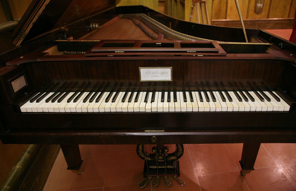 Arte nella Vita: Scoperte preziose nel verde delle Marche