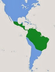 World of Reptiles: Green Iguana Facts