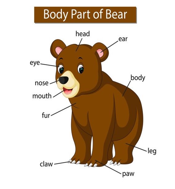 เรียนภาษาอังกฤษ ความรู้ภาษาอังกฤษ ทำอย่างไรให้เก่งอังกฤษ Lingo Think in ...