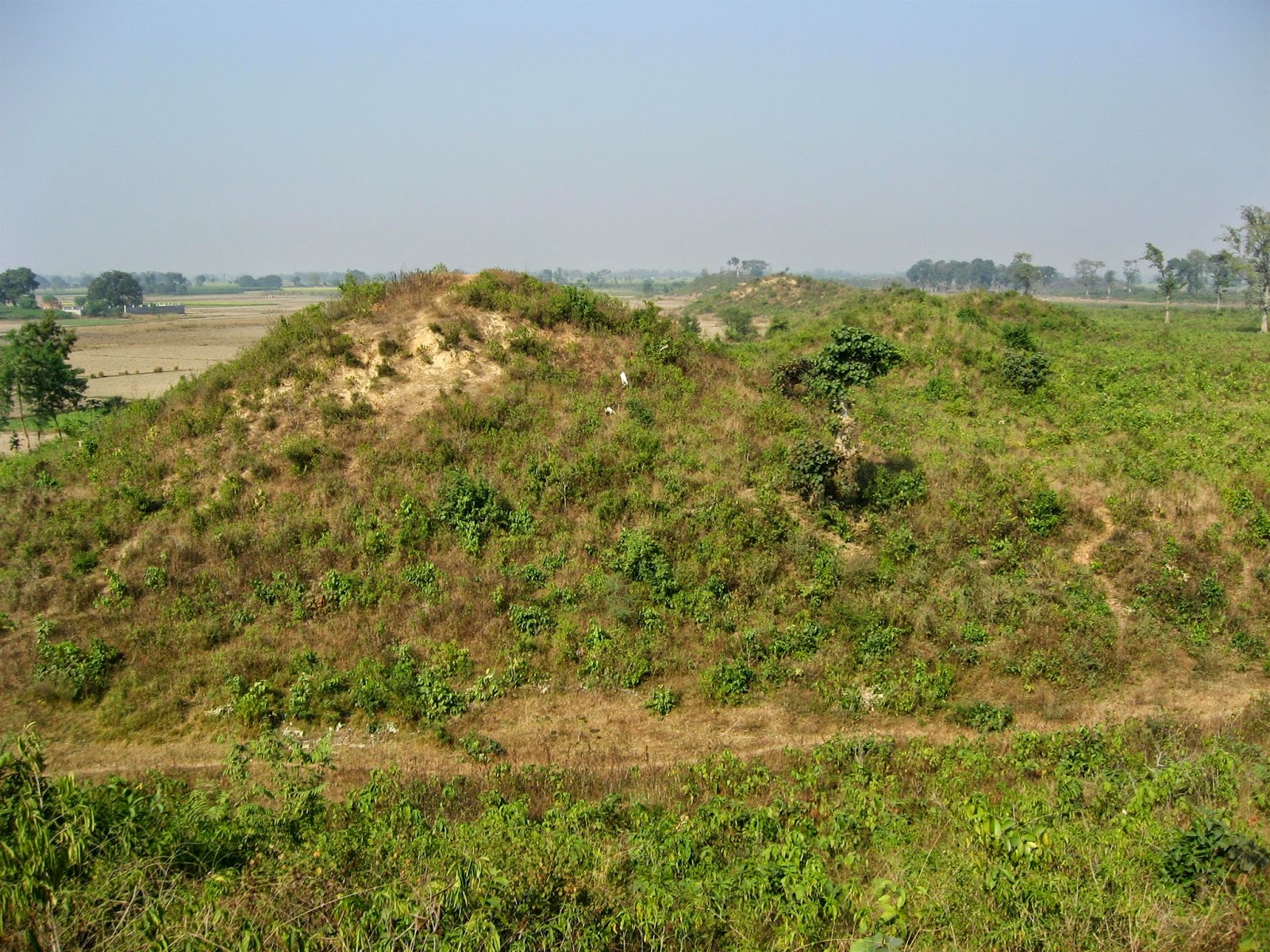 Okar Research: The Kingdom of Kosala & the Shakhya (563 BC)