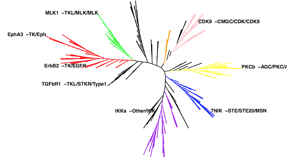 R for Biochemists: Colouring my kinome phylogenetic tree...