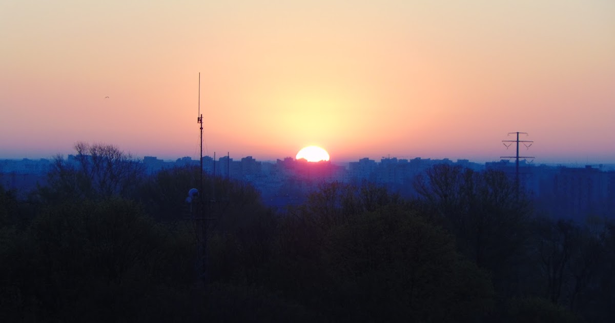 Trees: Sunrise Warsaw Poland Photo by Kevin Todd