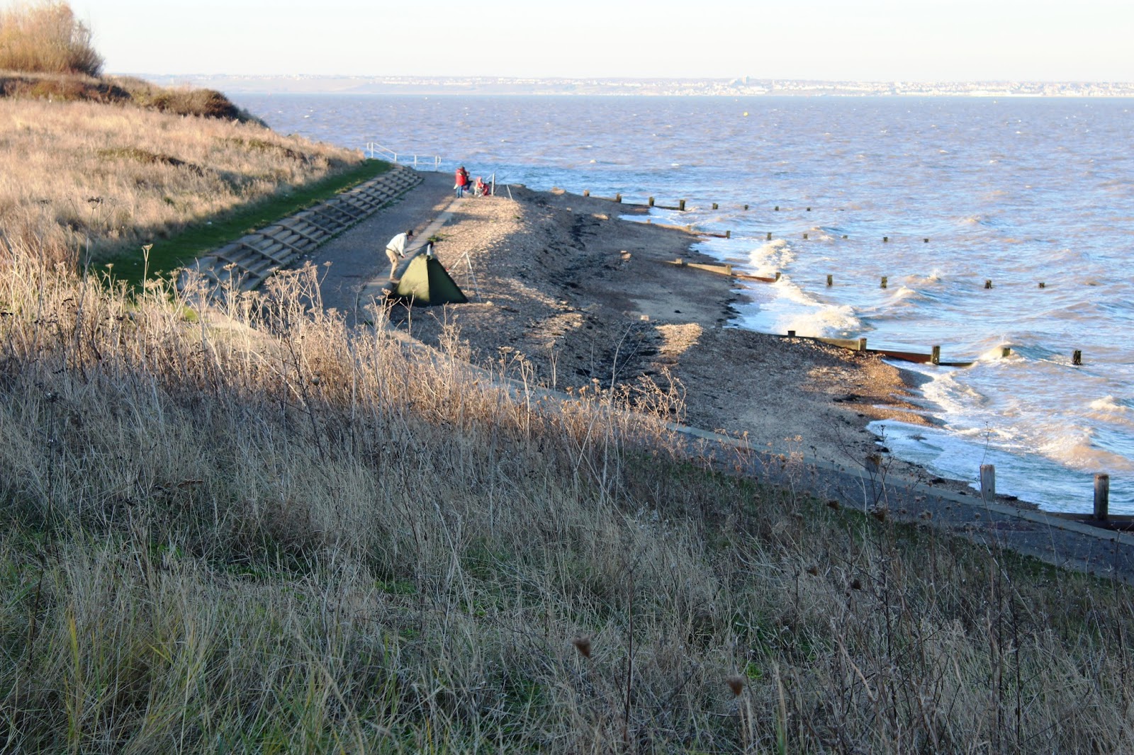 Notes from Kent's Hoo Peninsula: Seeing old Friends at Grain Coastal Park