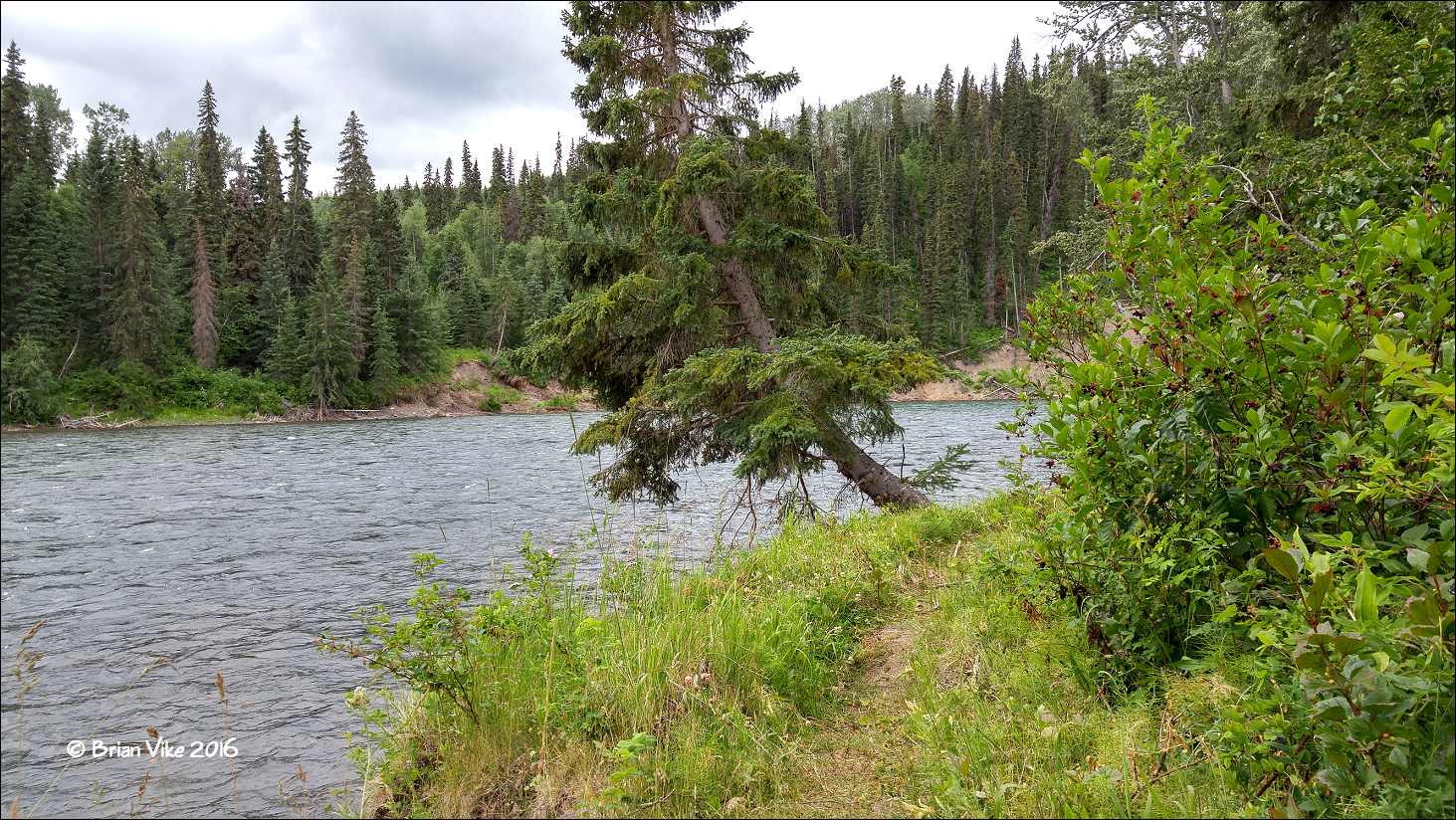 Northern Interior British Columbia: Morice River Houston British ...