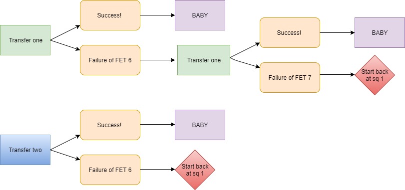 Jewish IVF: Embryo(s)