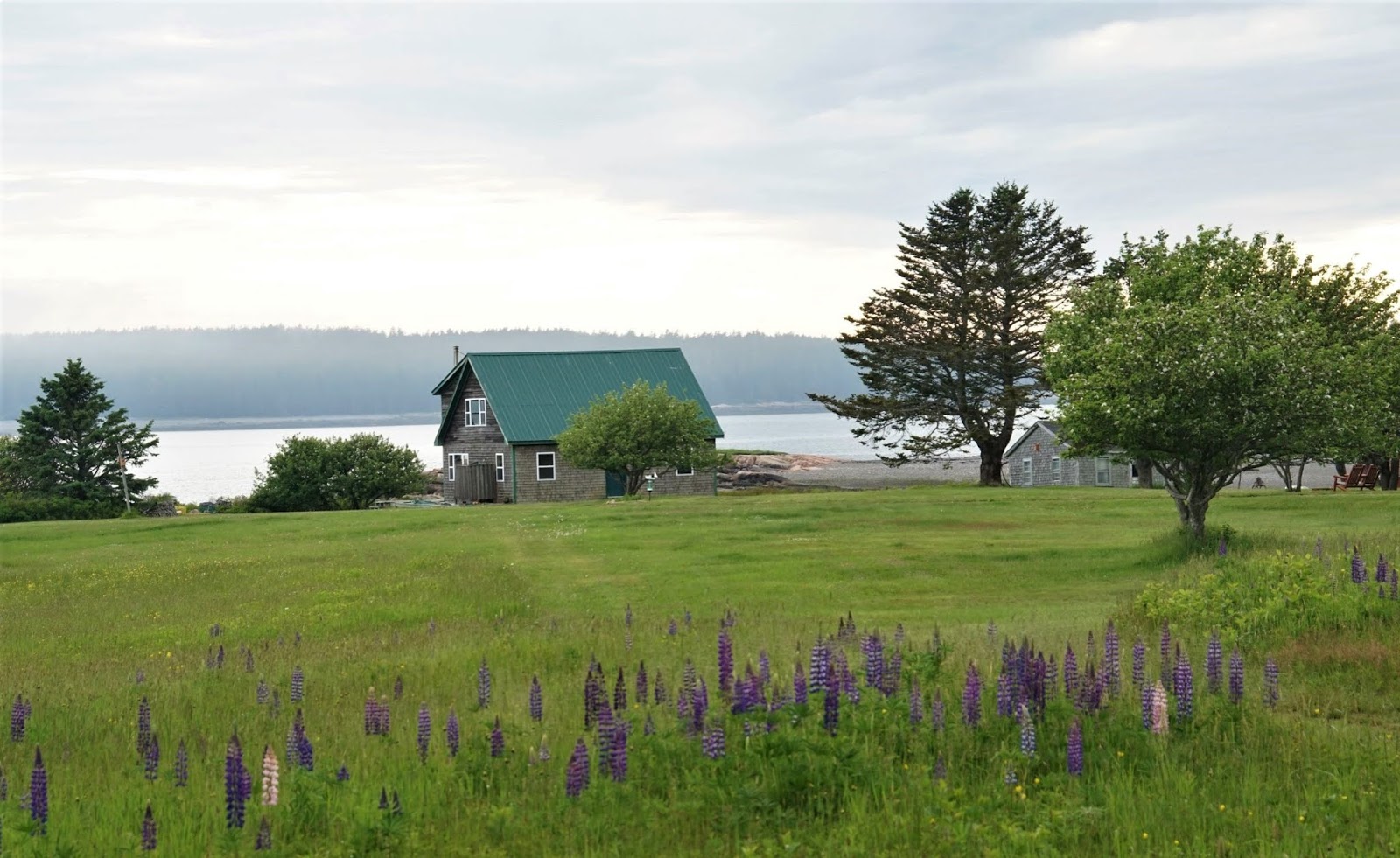 Stonehouse Farm: Island Idyll
