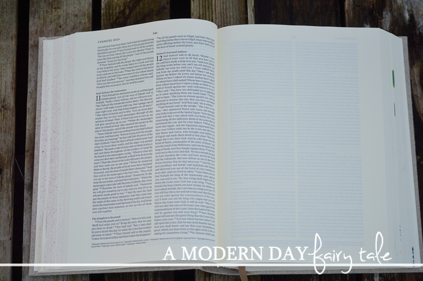 Journaling Outside the Margins {An ESV Journaling Bible, Interleaved ...