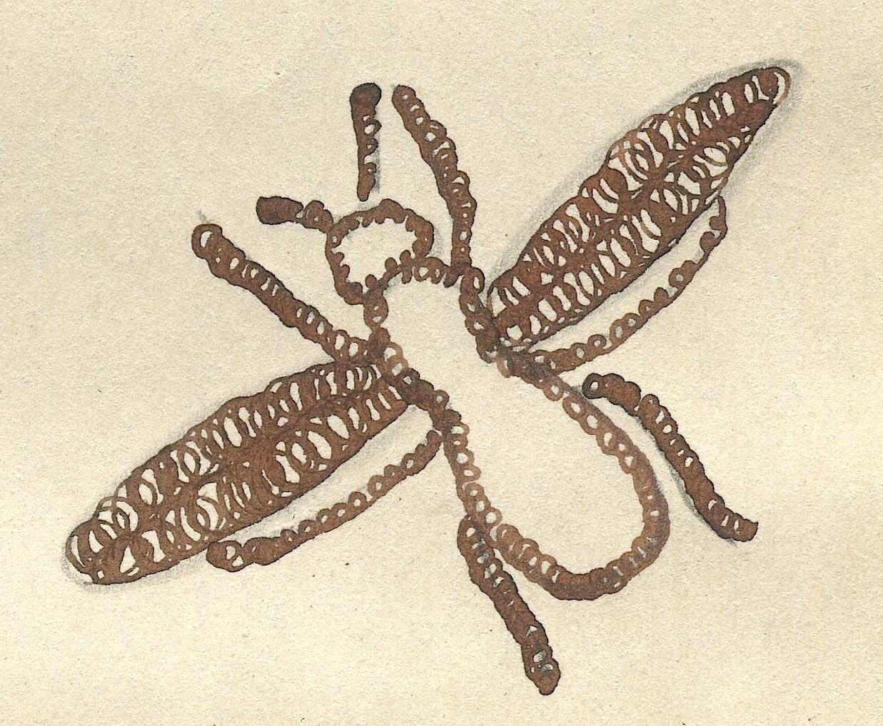 Dull Tool Dim Bulb: Doodle Bug Antique Folk Art Drawing Collection Jim ...