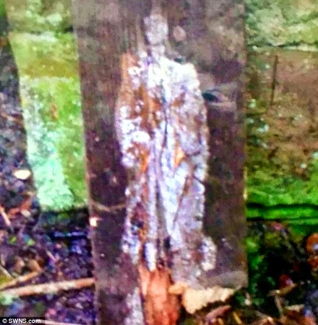 Welcome to Mazzy GoodLife's Blog: Stunned Builder Finds Image Of Jesus ...