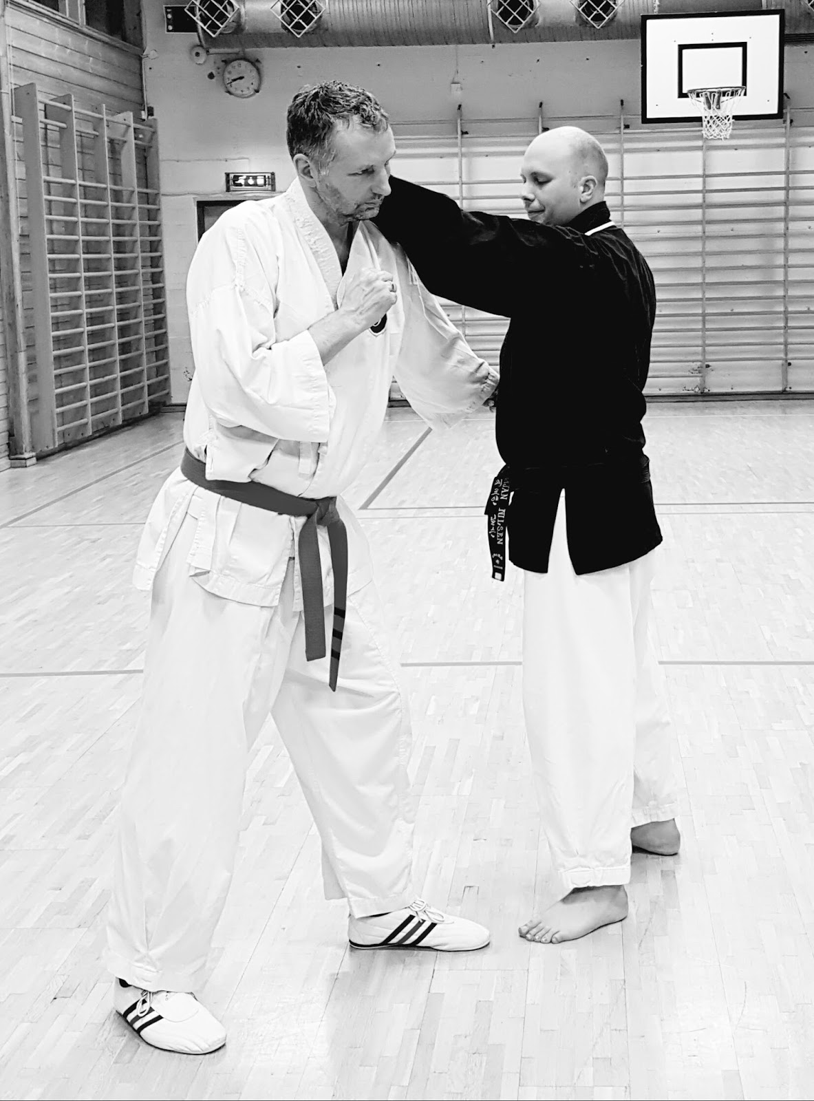 Traditional Taekwondo Ramblings: Taegeuk Chil Jang revisited (Follow up ...