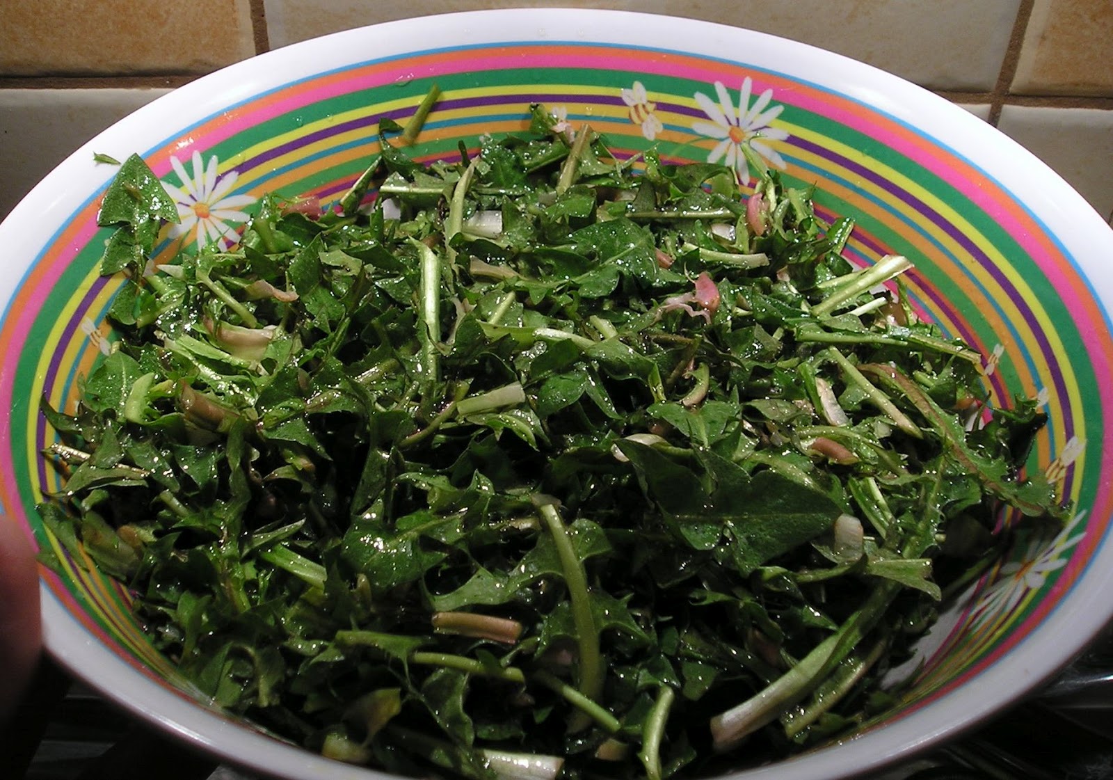 Probaj ovako!: Salata od radiča (maslačka) i salata od endivije