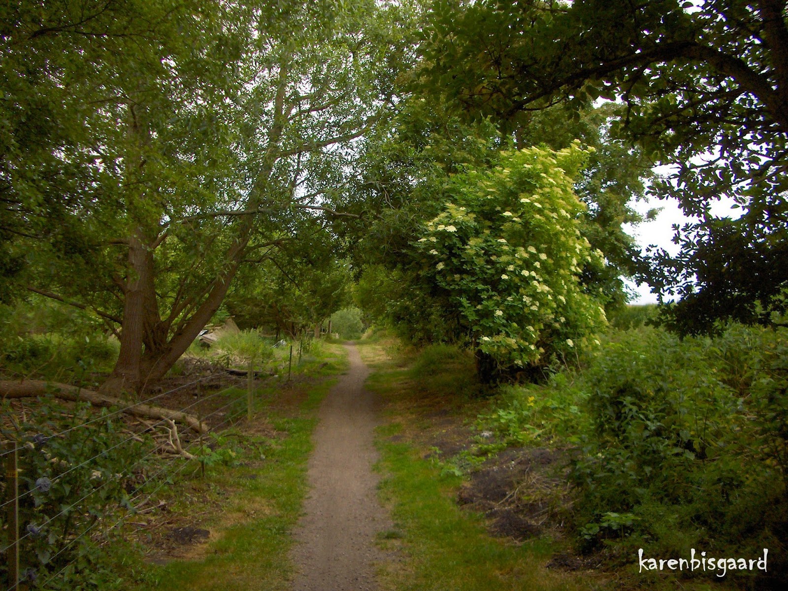 Karen`s Nature Photography: Landscape with Walking Path.