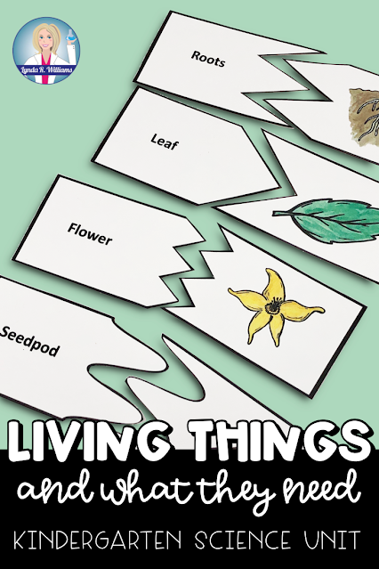 Living Things and What They Need