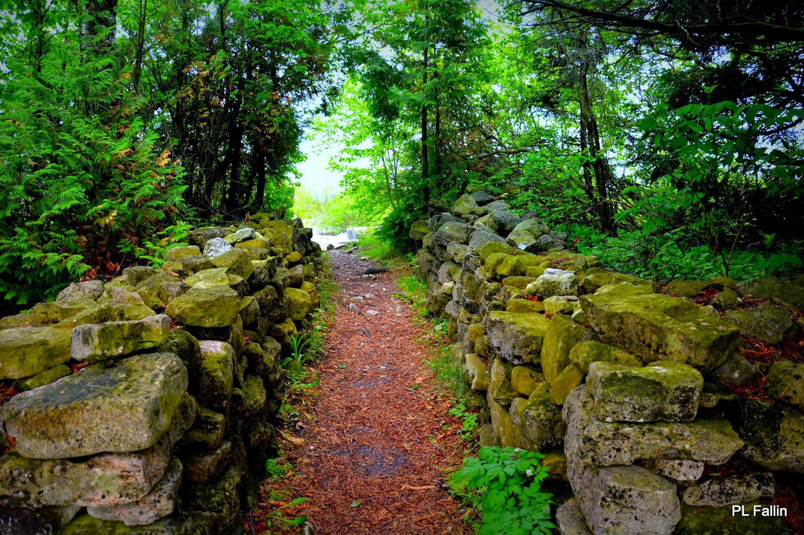 PL Fallin Photography: Chambers Island Lighthouse