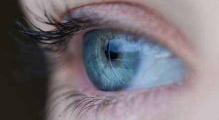 "A Cast for the Eye after Retinal Surgery," by Yasser Elshatory, MD, PhD