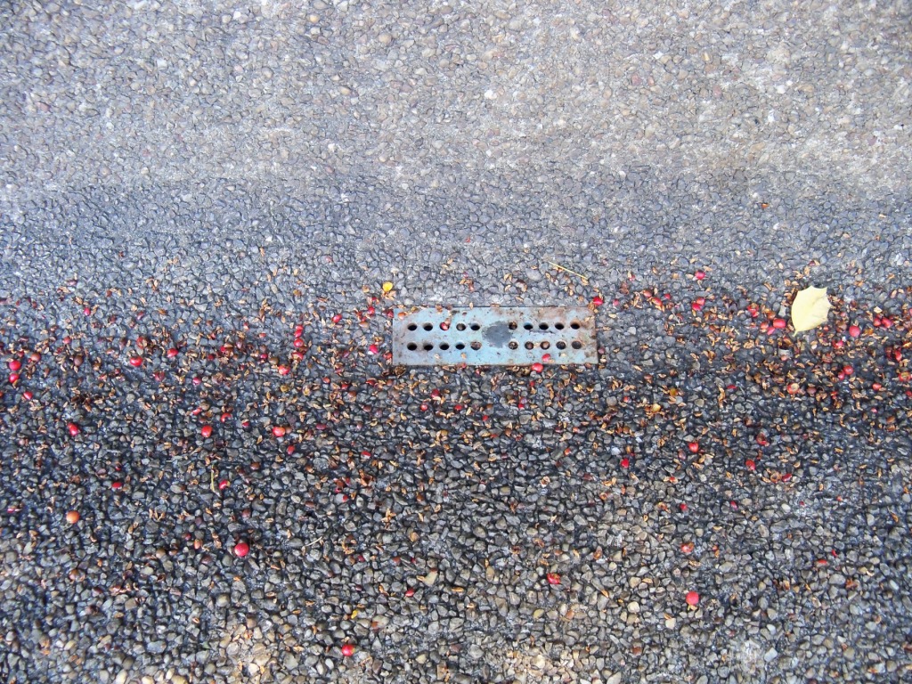 New Deal of the Day: The New Deal in DC: Folger Park