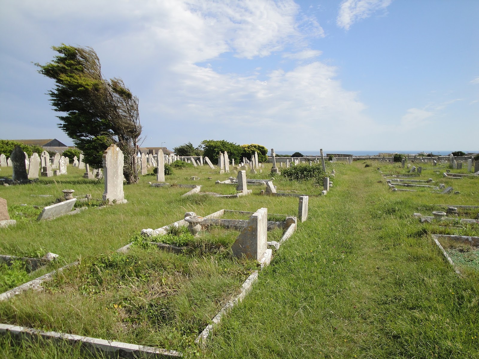 Onions and Absinthe: Windswept Coastlines