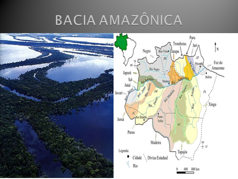 GeoPlaneta: Bacia Amazônica